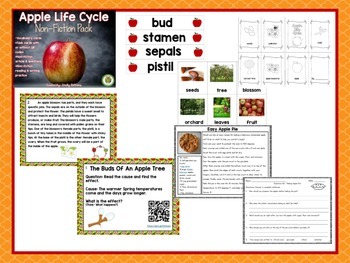 Back To School Literacy Centers Low Prep Literacy Printables | Word ...