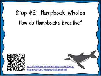 Whales QR Code Web Quest | Word List Builder