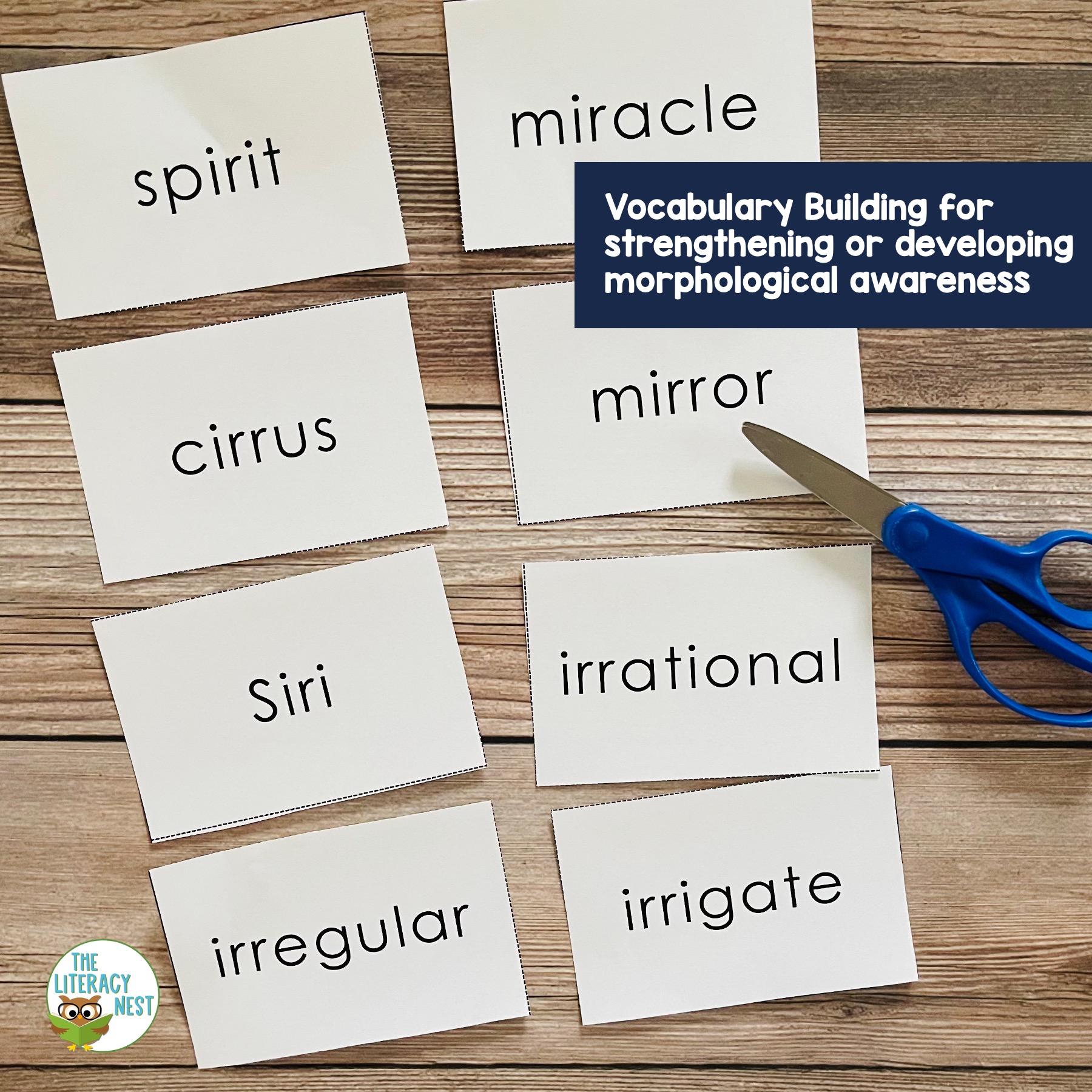 Advanced Orton-Gillingham Activities for IR /eer/ | Word List Builder