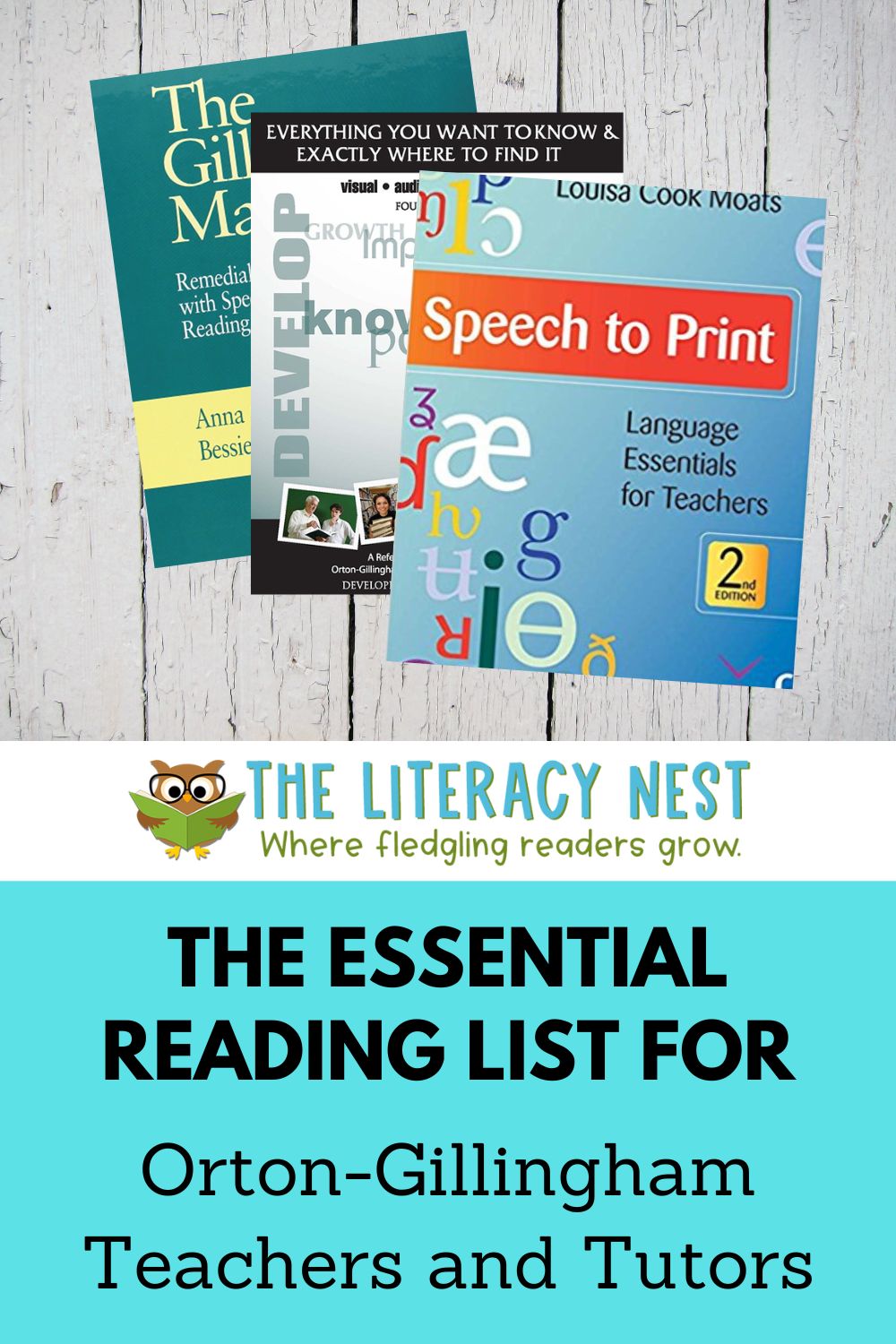 15+ Books for Orton-Gillingham Teachers and Tutors - The Literacy Nest