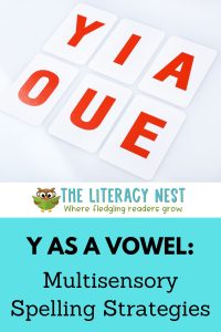 Y as a Vowel: Multisensory Spelling Strategies - The Literacy Nest