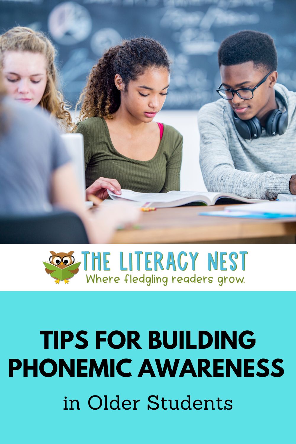 Tips for Building Phonemic Awareness in Older Students - The Literacy Nest