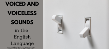 Voiced and Voiceless Sounds in The English Language - The Literacy Nest