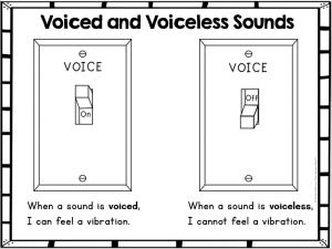 Voiced and Voiceless Sounds in The English Language - The Literacy Nest