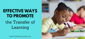 Effective Ways to Promote The Transfer of Learning - The Literacy Nest