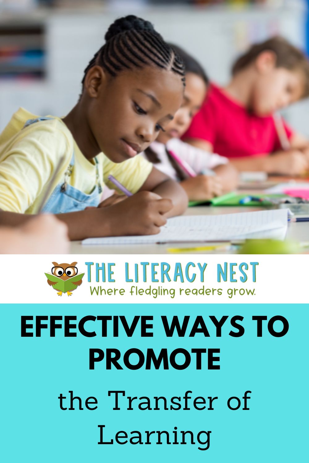 Effective Ways to Promote The Transfer of Learning - The Literacy Nest