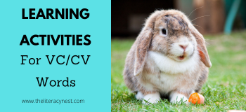 Activities With VCCV Words - The Literacy Nest