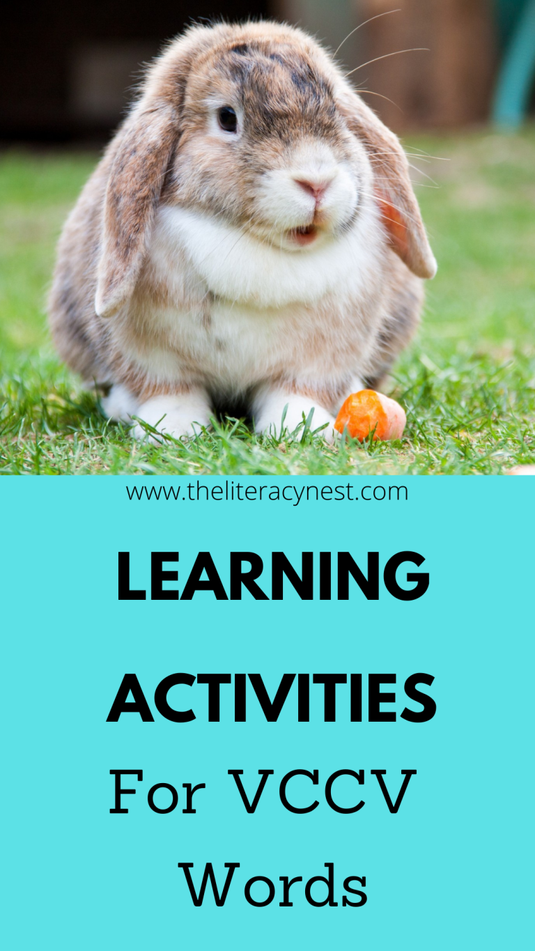 Activities With VCCV Words - The Literacy Nest