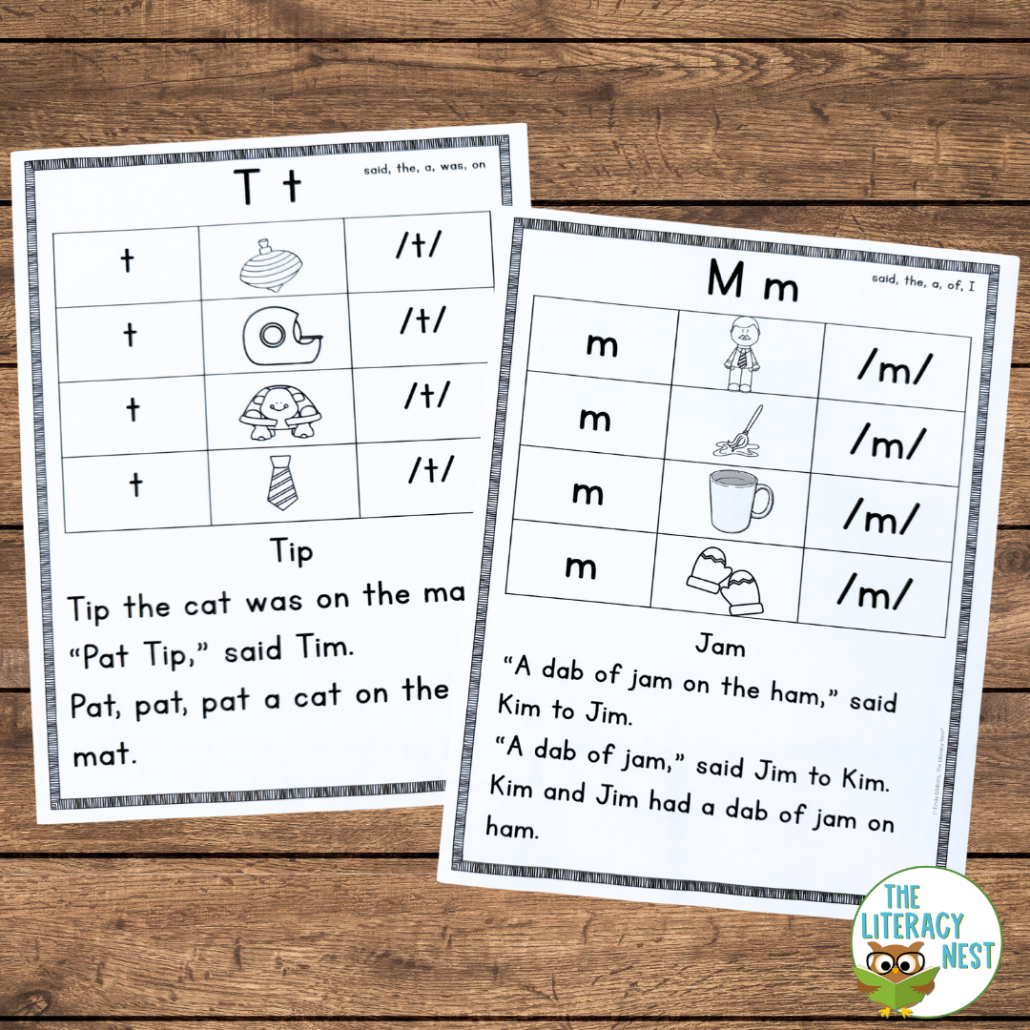 Orton-Gillingham Decodable Passages Level 1 - The Literacy Nest