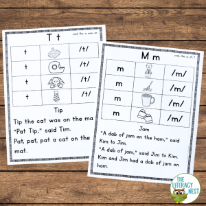 Orton-Gillingham Decodable Passages Level 1 - The Literacy Nest