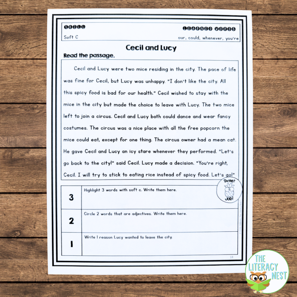 Level 3 Decodable Passages for Orton-Gillingham Lessons - The Literacy Nest