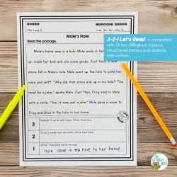 Level 1 Decodable Passages for Orton-Gillingham Lessons - The Literacy Nest