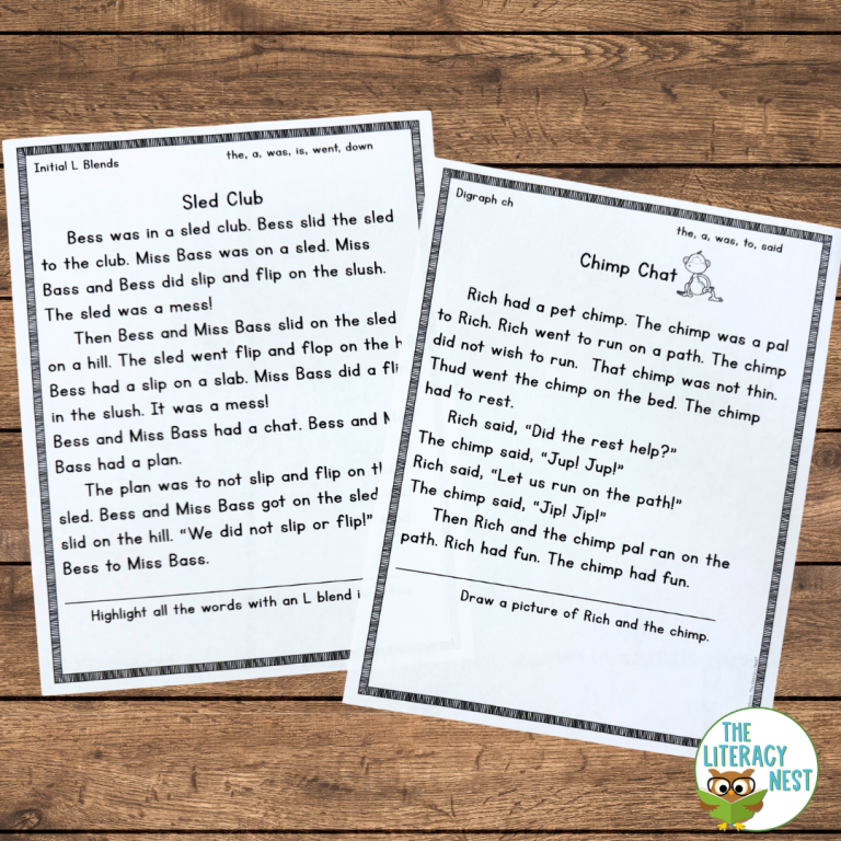 Orton-Gillingham Decodable Passages Level 1 - The Literacy Nest
