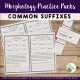 Decodable Passages for Prefixes and Suffixes FREEBIE - The Literacy Nest