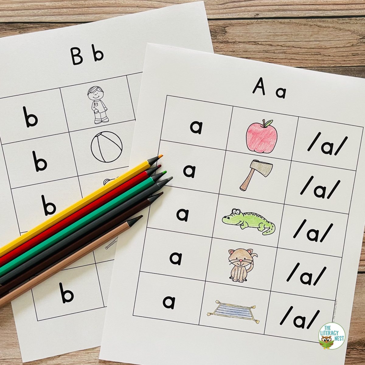 Orton-Gillingham Decodable Passages Level 1 - The Literacy Nest