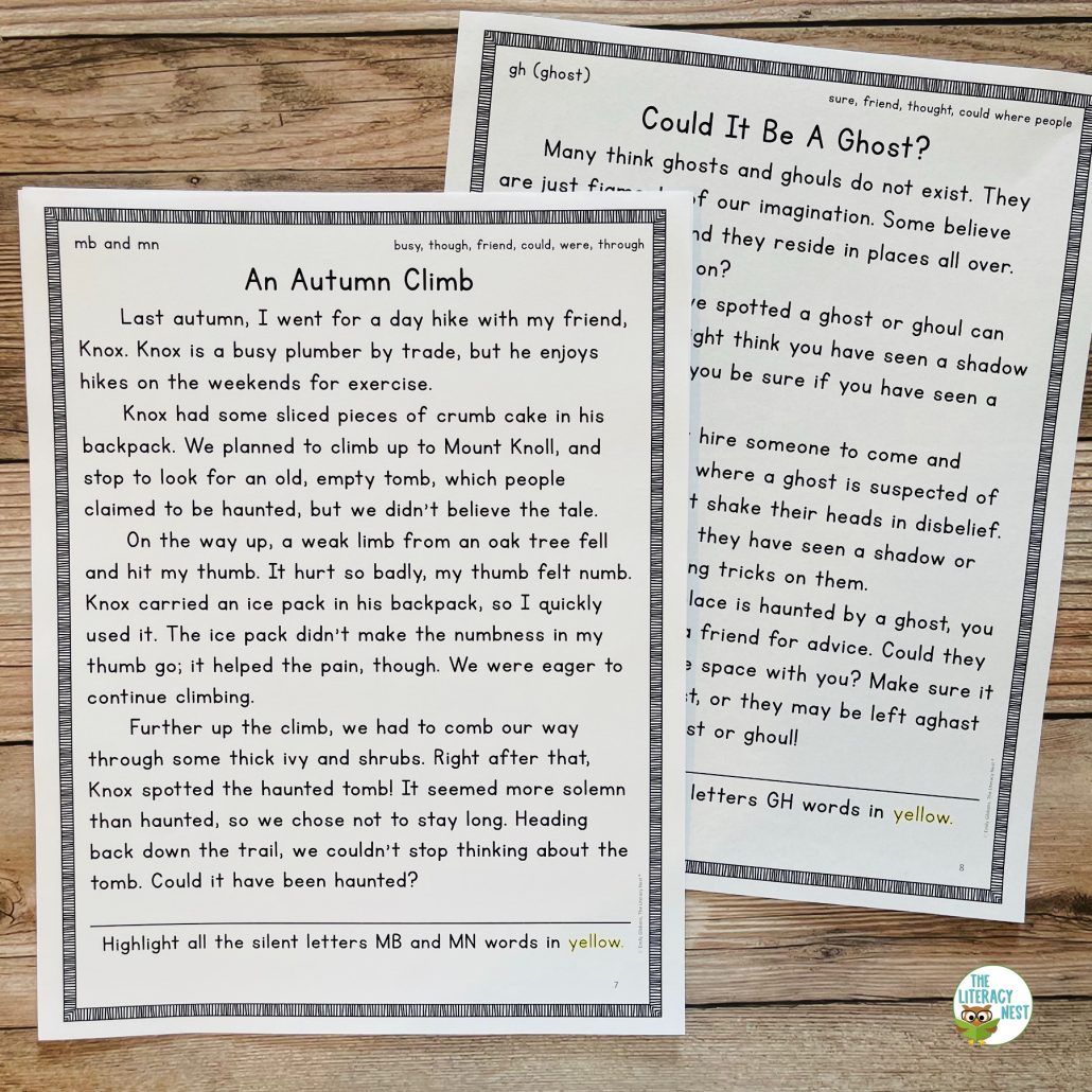 Orton-Gillingham Decodable Passages Level 5 - The Literacy Nest