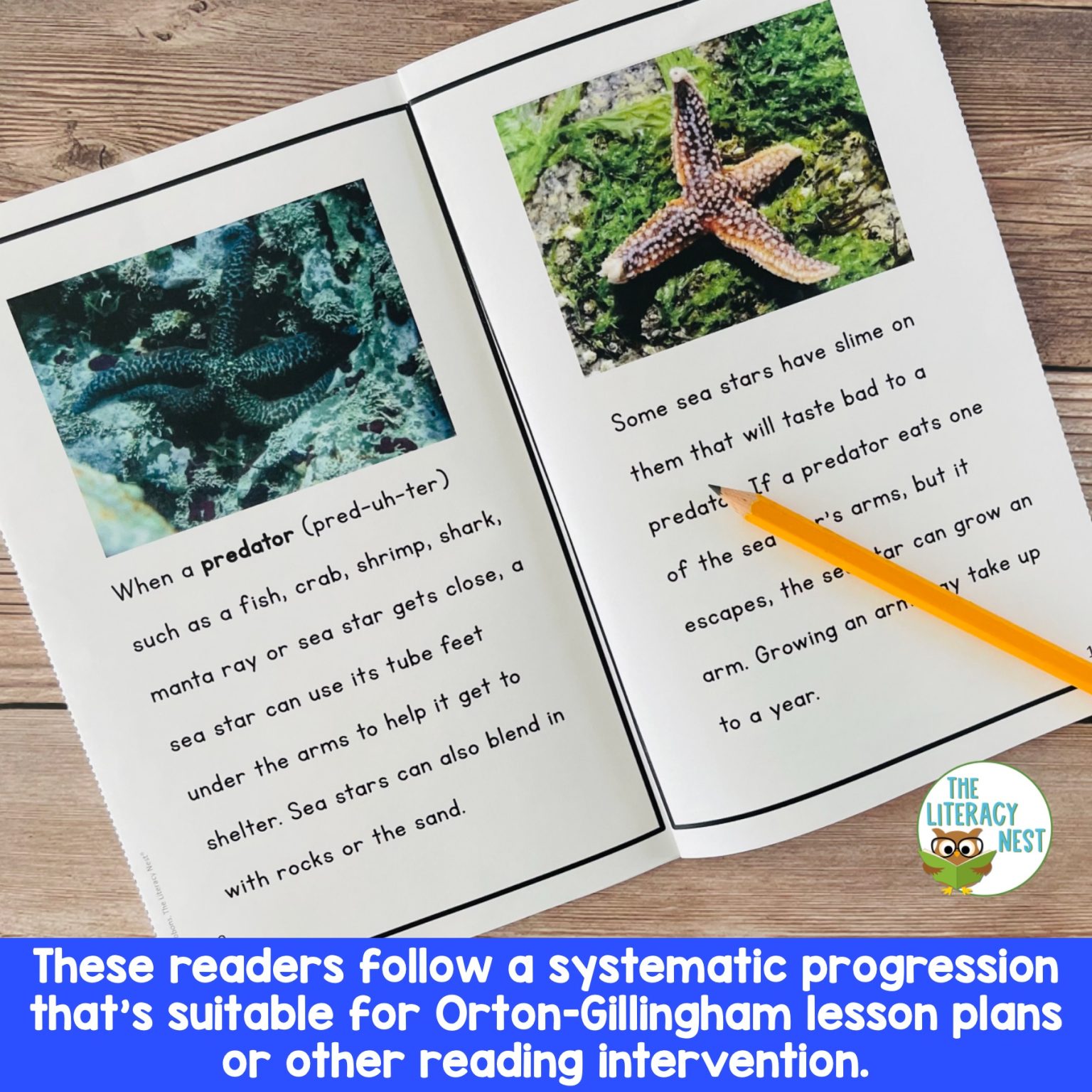 Summer Decodable Readers and Games Includes Digital - The Literacy Nest