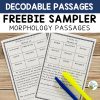 Decodable Passages for Prefixes and Suffixes FREEBIE - The Literacy Nest