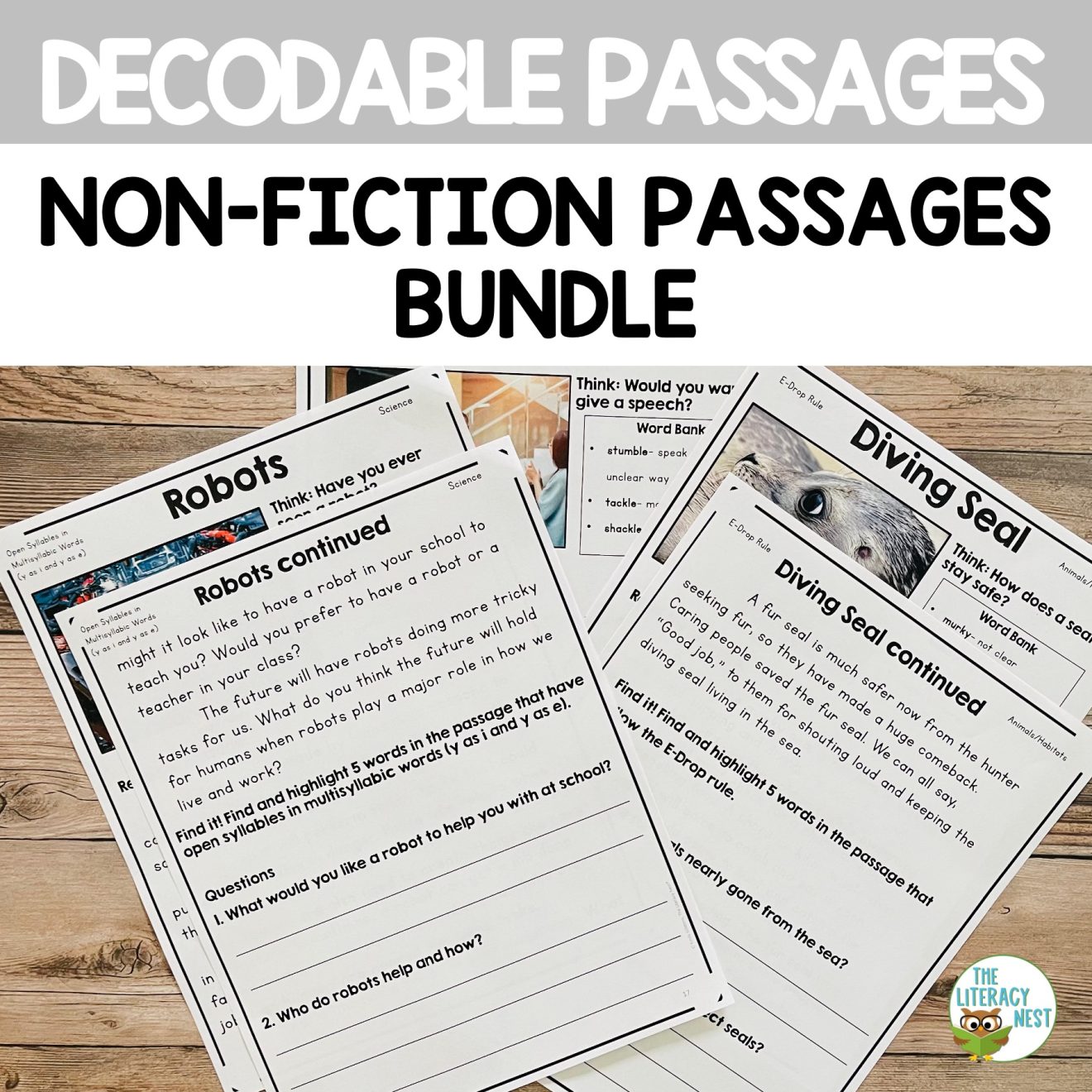 Decodable Passages for Prefixes and Suffixes FREEBIE - The Literacy Nest