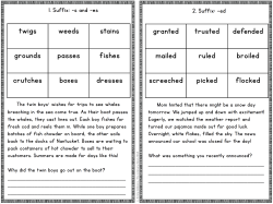 Decodable Passages for Prefixes and Suffixes FREEBIE - The Literacy Nest