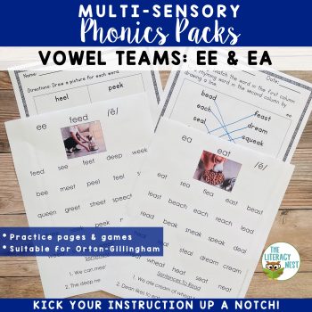 Vowel Teams OO Worksheets and Activities for Orton-Gillingham Lessons ...