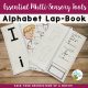 Alphabet Activities for Orton-Gillingham Lesson Plans - The Literacy Nest