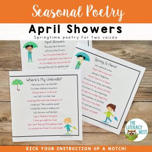 Synonyms, Antonyms and Homophones Digital Activities - The Literacy Nest