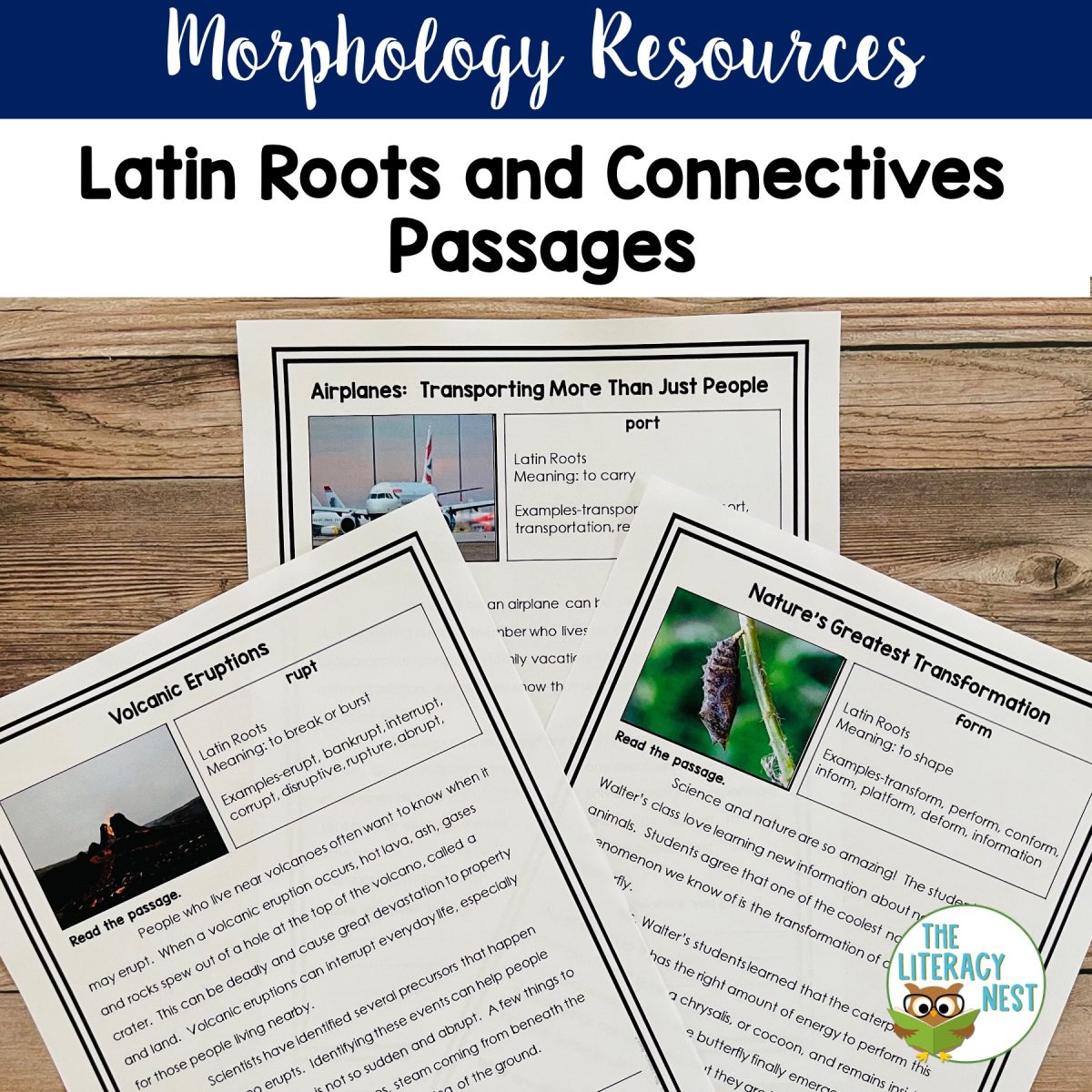 Morphology Activities Latin Roots and Greek Forms - The Literacy Nest