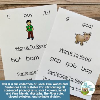 Decodable Word Lists & Sentences for Orton Gillingham Lessons Level 1 ...