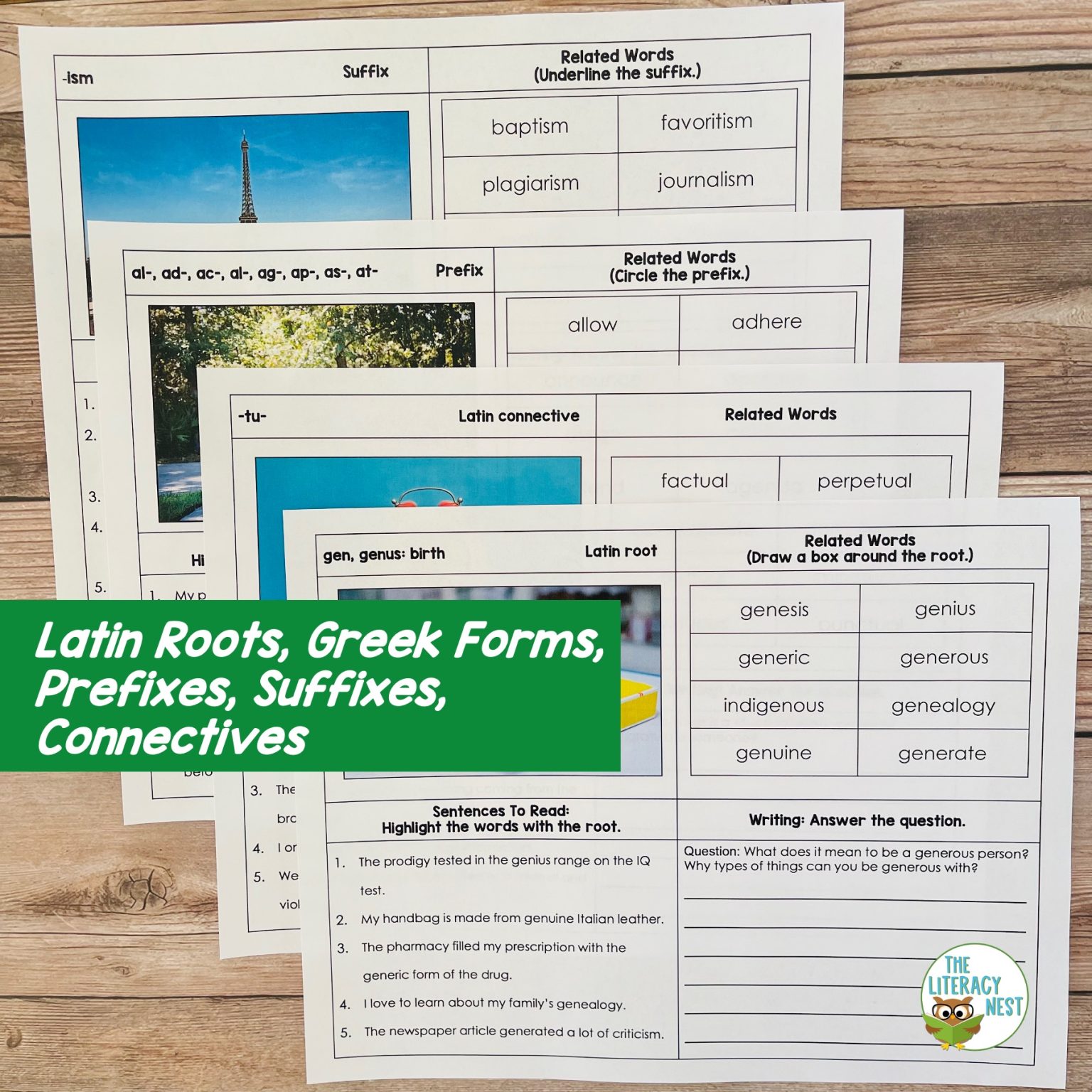 Morphology Activities Prefixes, Suffixes, Roots, Greek Forms - The ...