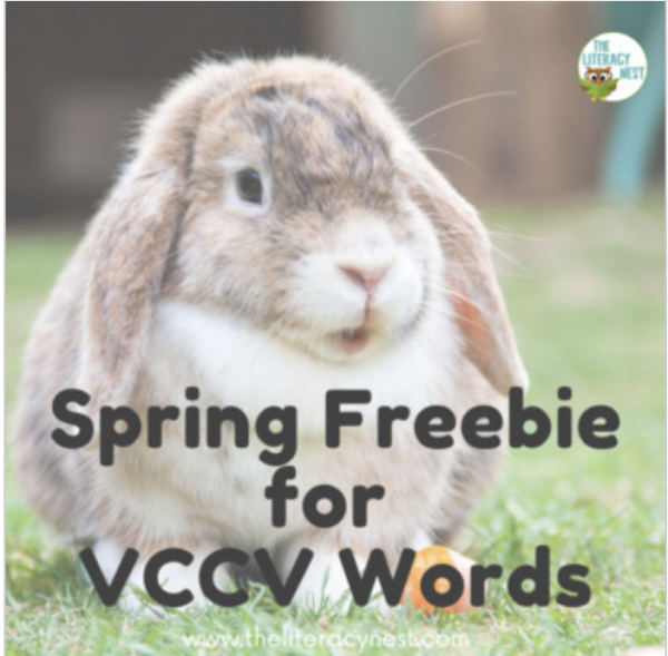 VCCV WORDS Spring Theme Surprise Freebie - The Literacy Nest