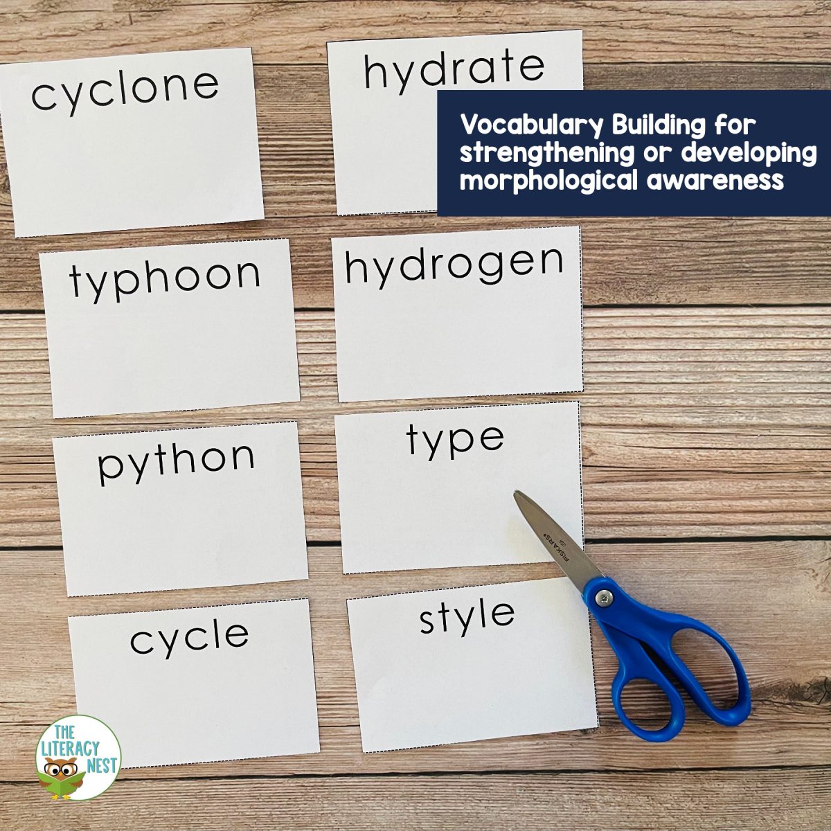 Advanced Orton-Gillingham Activities Y Sounds (short I and long I)