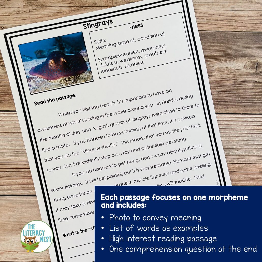 Morphology Reading Passages for Suffixes - The Literacy Nest