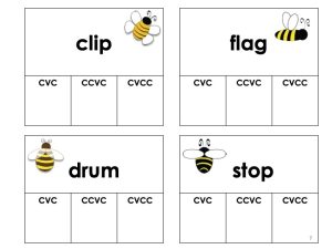 Closed Syllable Clip Cards - The Literacy Nest