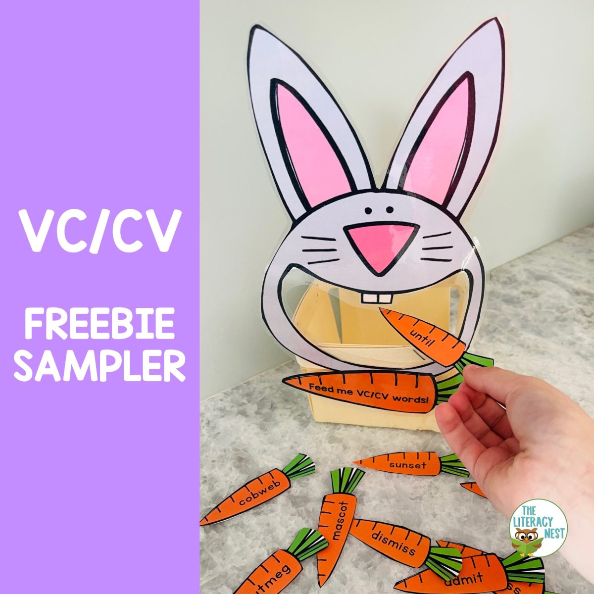 VCCV WORDS Spring Theme Surprise Freebie - The Literacy Nest