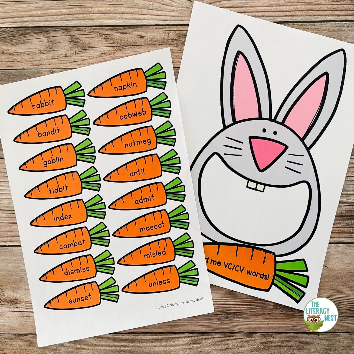 VCCV WORDS Spring Theme Surprise Freebie - The Literacy Nest