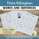 Decodable Word Lists & Sentences for Orton Gillingham Lessons Level 3 ...