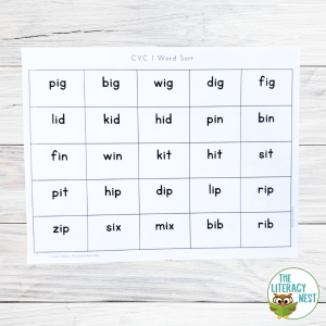 CVC Short I Phonics Activities for Orton-Gillingham Lessons - The ...