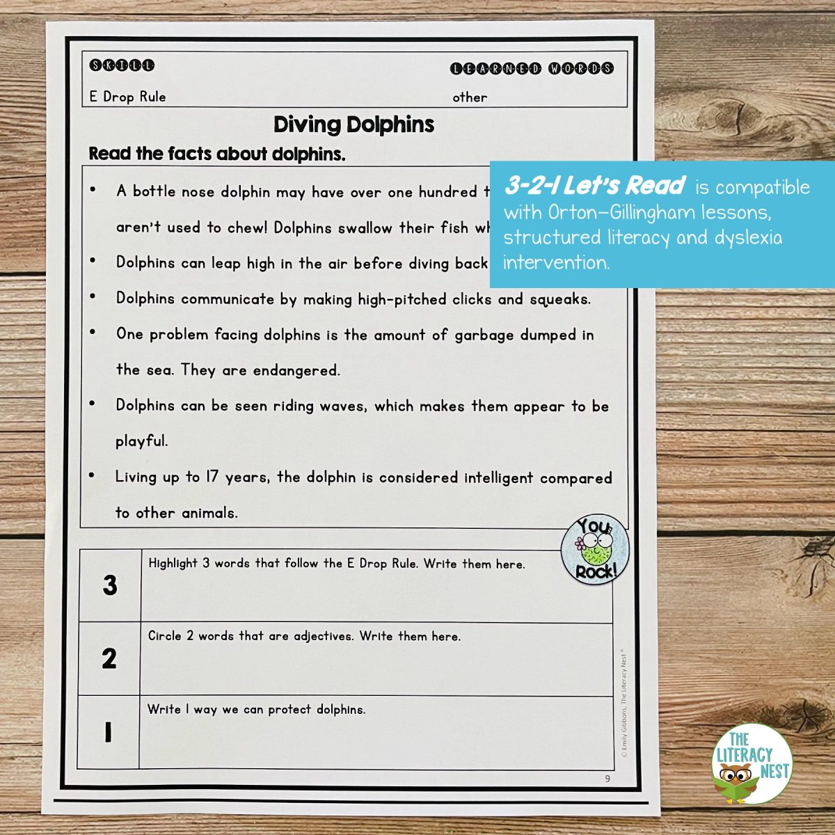 Orton-Gillingham Lessons Level 4 Decodable Passages - The Literacy Nest