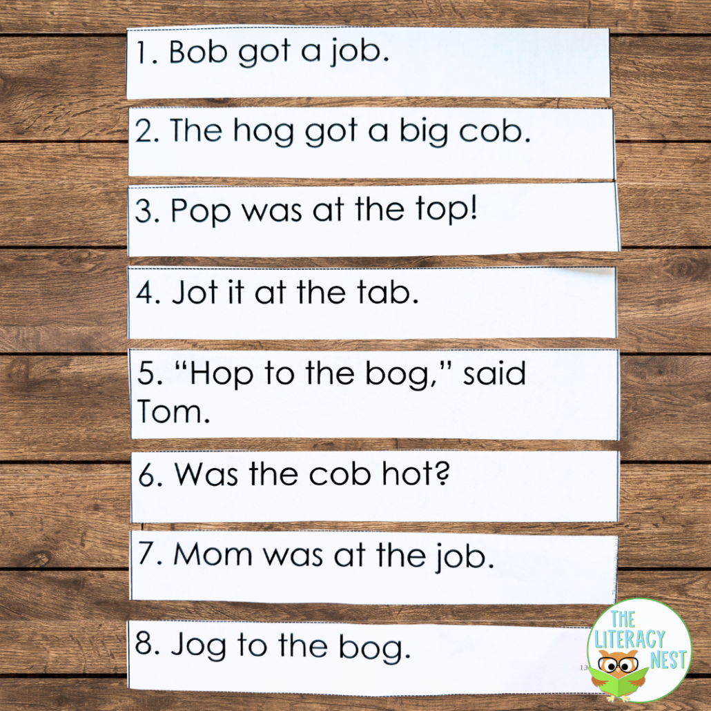 Orton-Gillingham Decodable Sentences Level One - The Literacy Nest