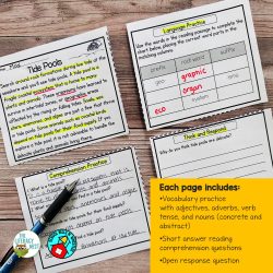 Reading Comprehension Summer Passages for Upper Elementary - The ...