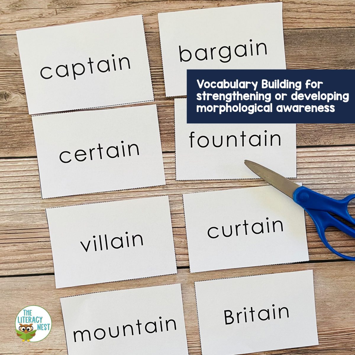 Advanced Orton-Gillingham Activities for -AIN - The Literacy Nest