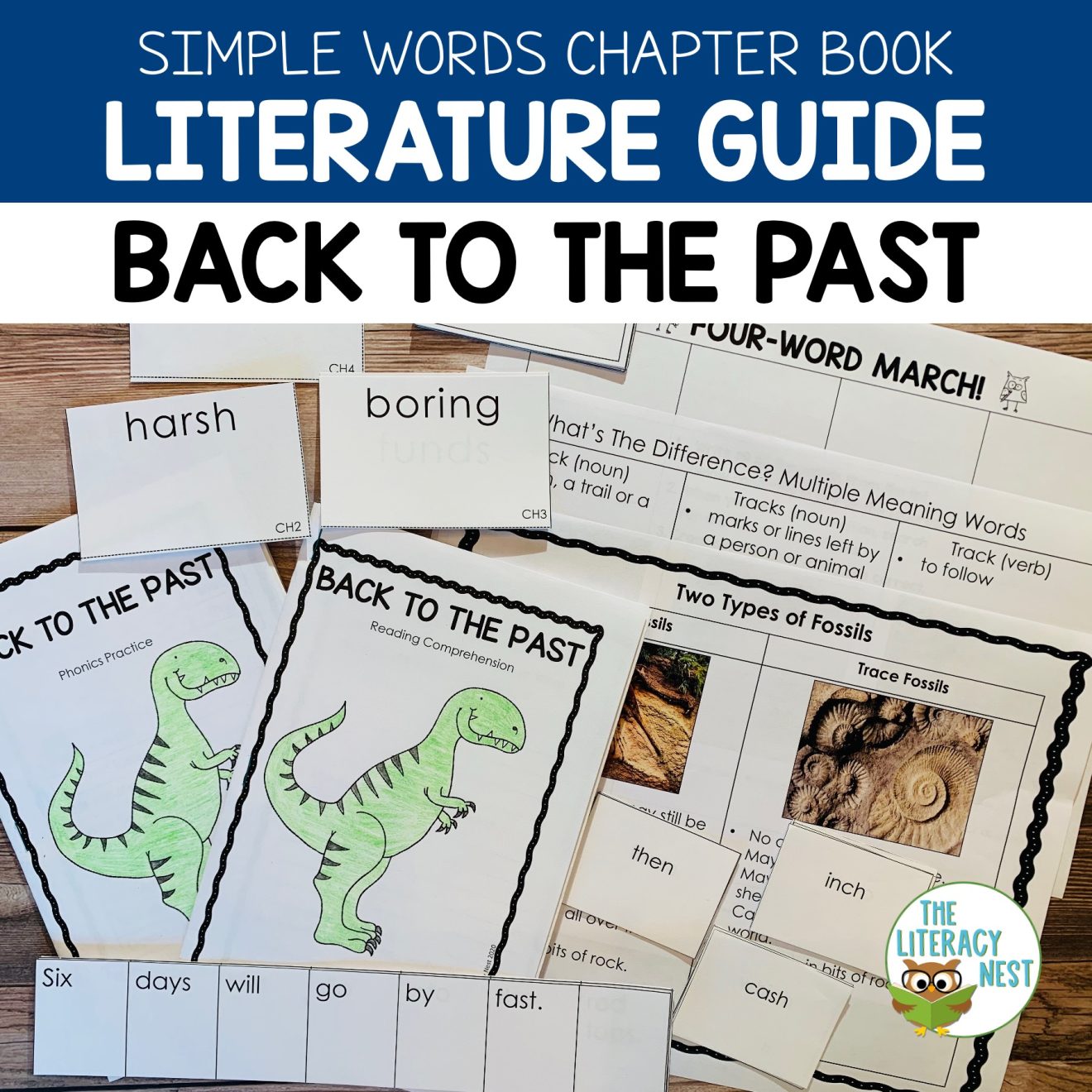 Book Companion Activities for Back To the Past Decodable Reader - The ...