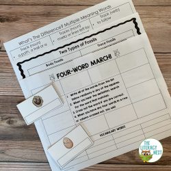 Book Companion Activities for Back To the Past Decodable Reader - The ...