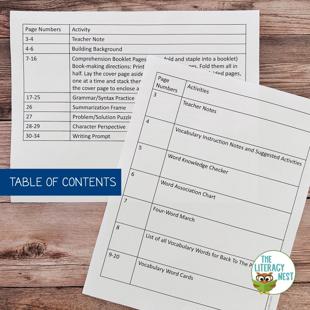 Book Companion Activities for Back To the Past Decodable Reader - The ...