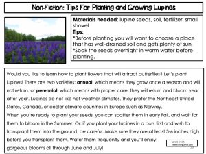 Book Companion Activities for Miss Rumphius by Barbara Cooney - The ...