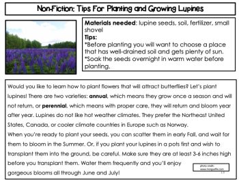 Book Companion Activities for Miss Rumphius by Barbara Cooney - The ...