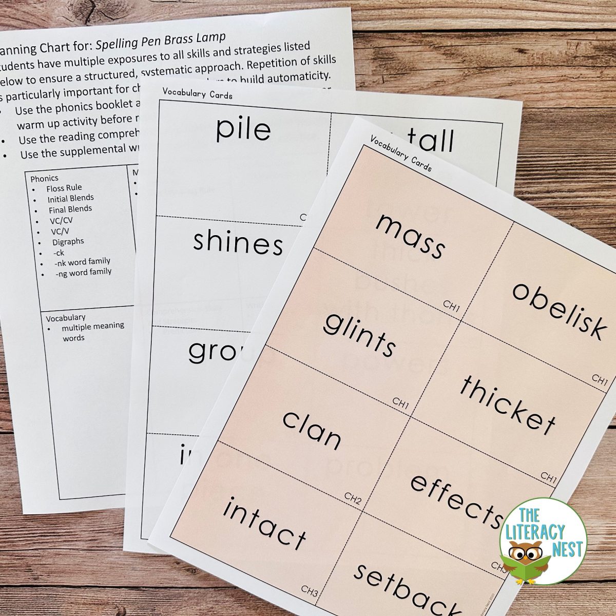 Book Companion Activities for Spelling Pen Brass Lamp Decodable Reader ...