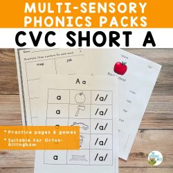 CVC Short A Phonics Activities for Orton-Gillingham Lessons - The ...