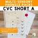 CVC Short A Phonics Activities for Orton-Gillingham Lessons - The ...